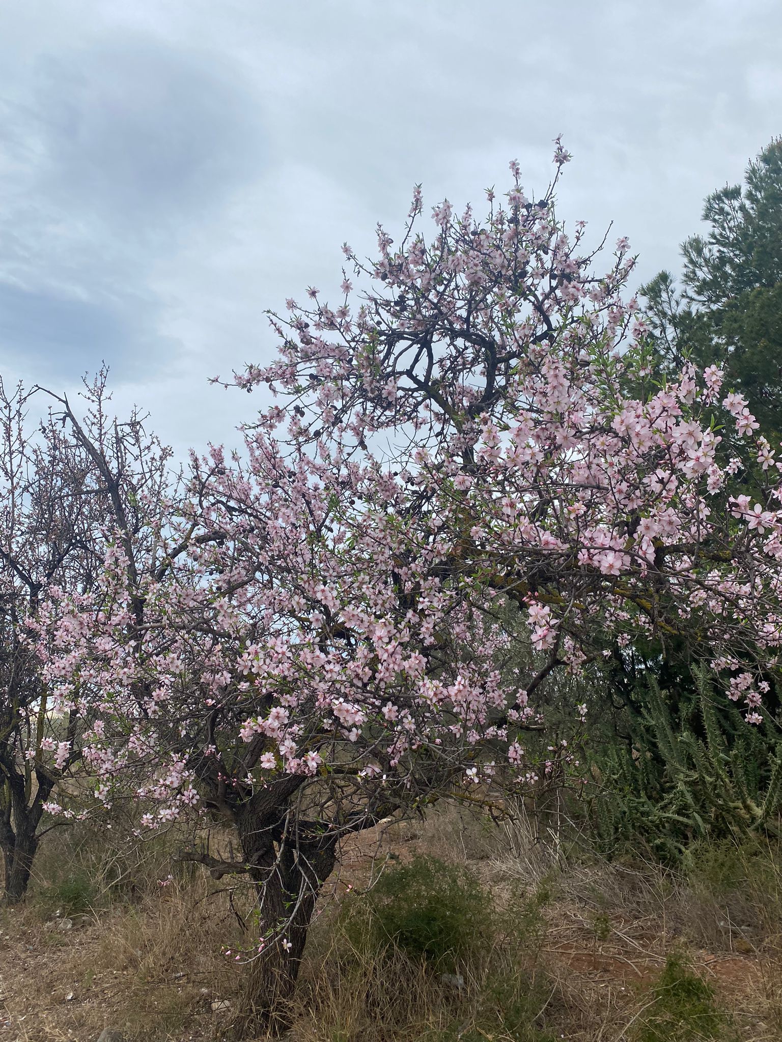 Home Page - CPRM CLINICS