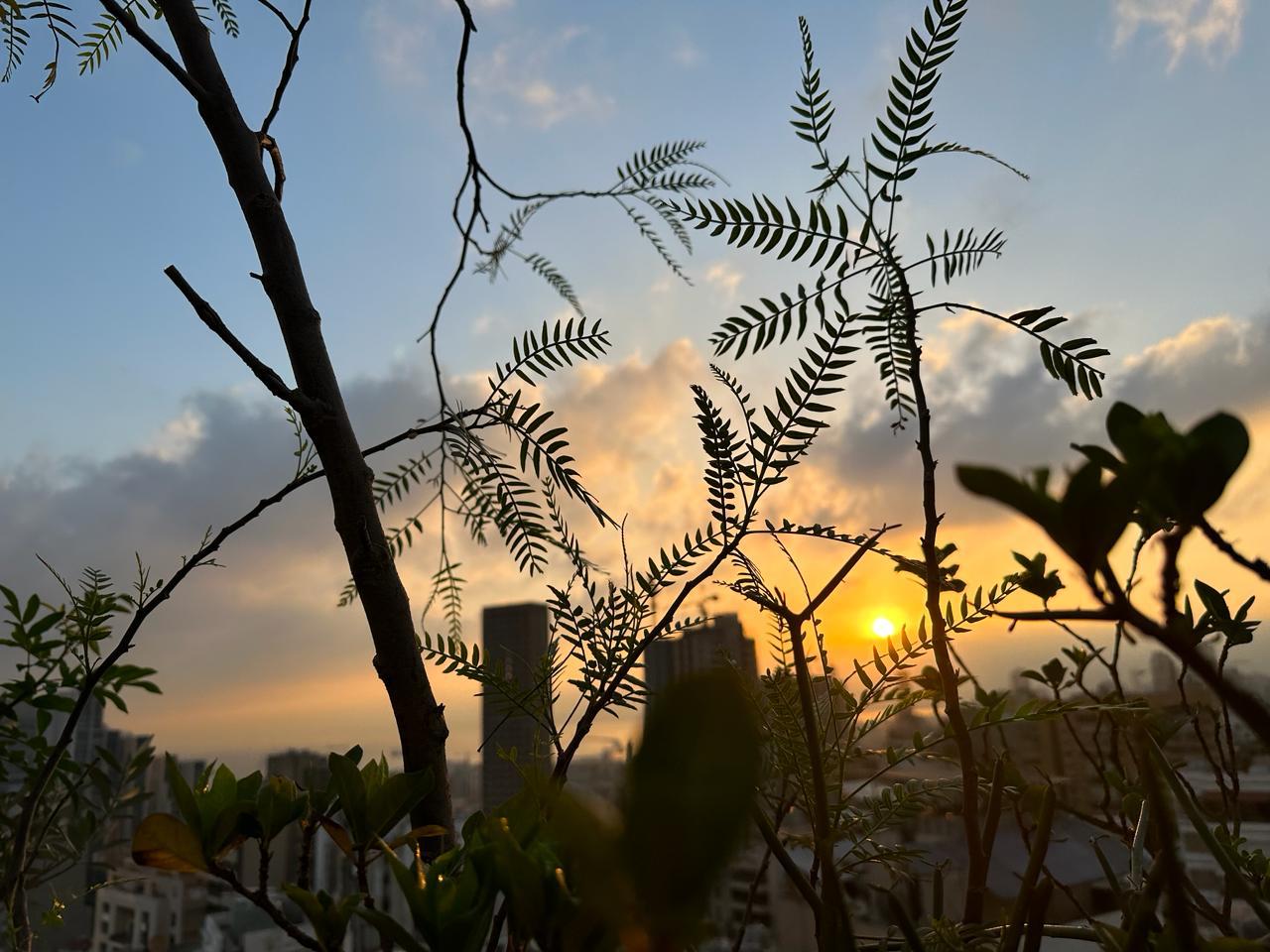 Home Page - CPRM CLINICS